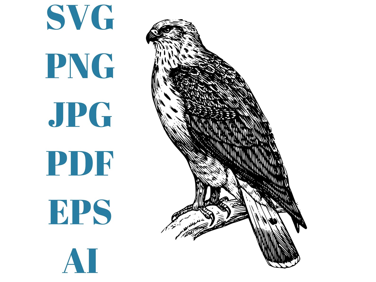 Hawk Svg, Hawk Vector, Falcon Svg, Hawk Clipart, Hawk Cut Files ...