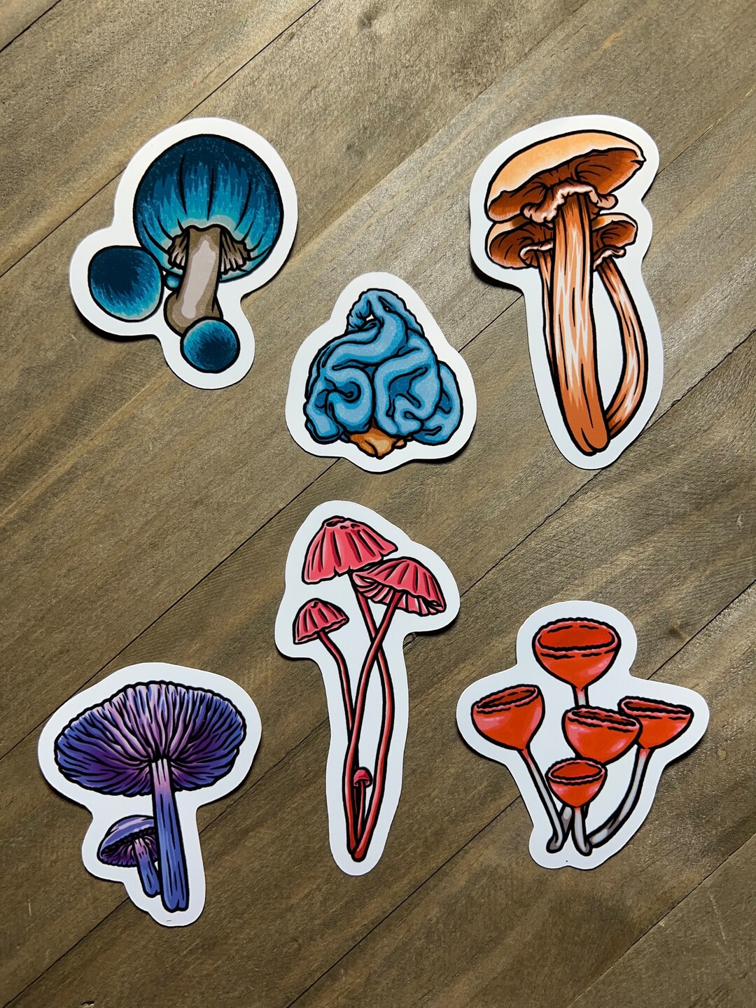 Mushroom Stickers Pack 3 Inch Bundle #2, Cute Mushroom Stickers, Fungi ...