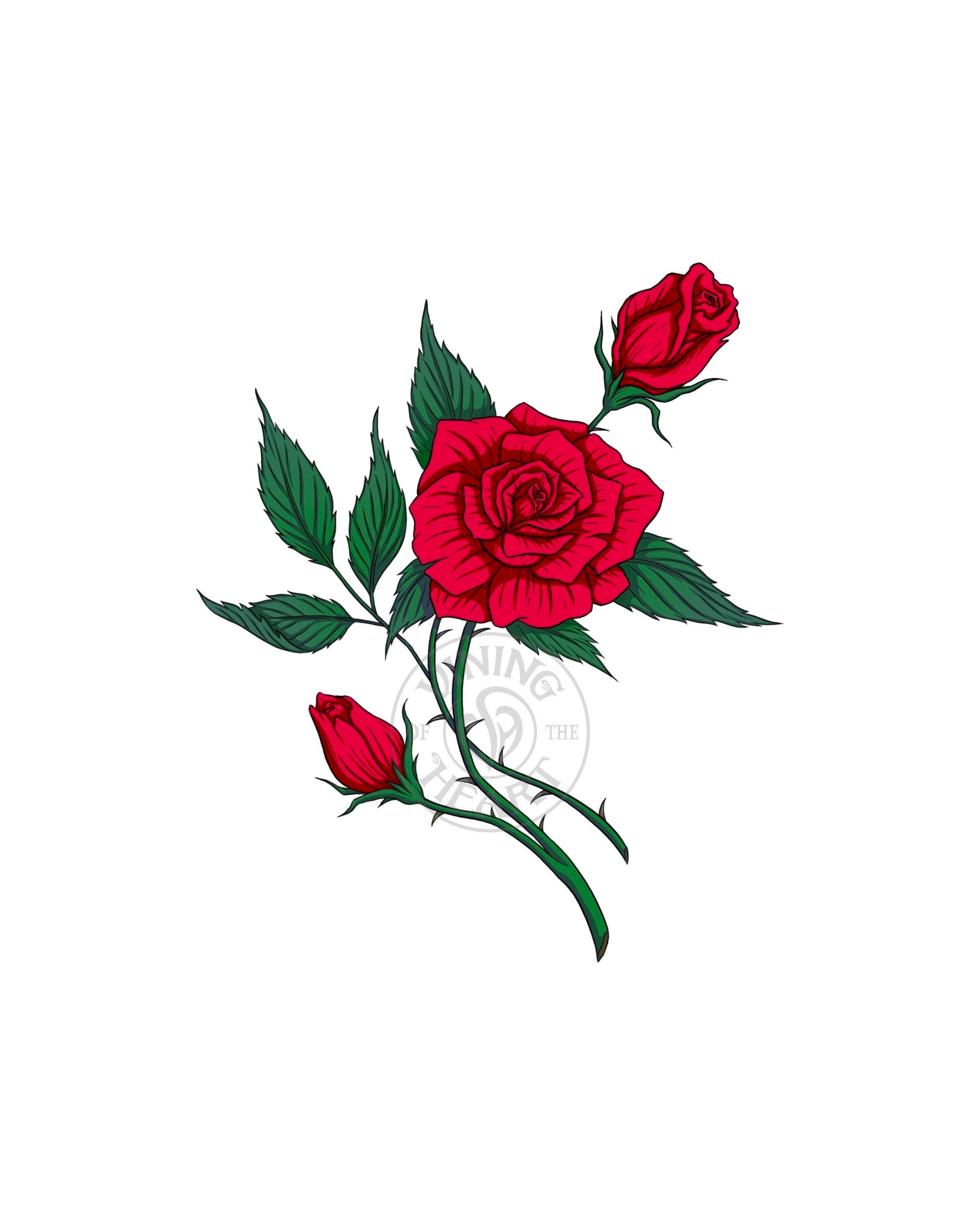 Red Rose Digital Art Download, PNG, PDF, Flower, Rose, Roses - Etsy