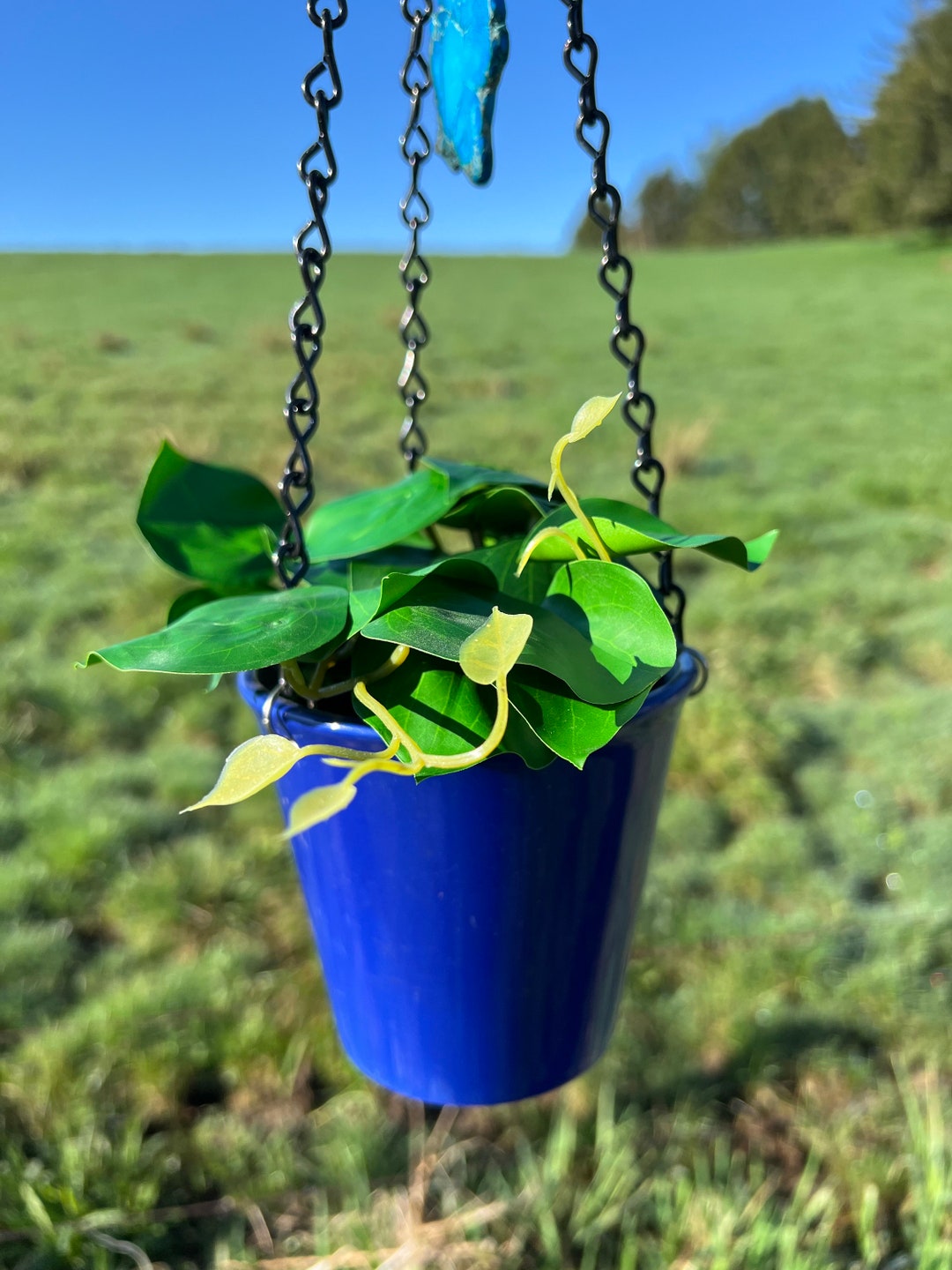 Indoor Hanging Planter, Sun-planter: Dark Blue Pot, Plant Hanger ...