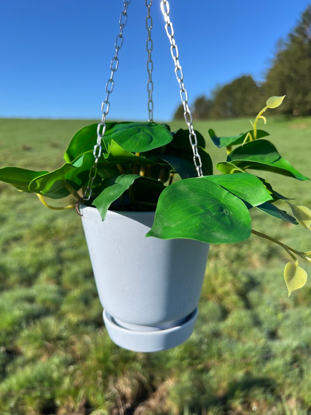 Indoor Hanging Planter, Sun-planter: Light Blue Pot, Planter, Hanging ...