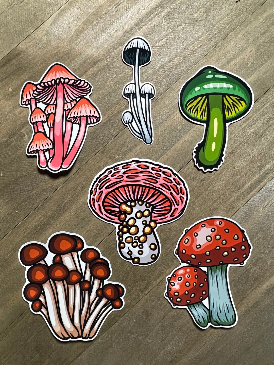 Mushrooms Sticker Pack Bundle #1, Mushroom Stickers, Cute Mushroom ...