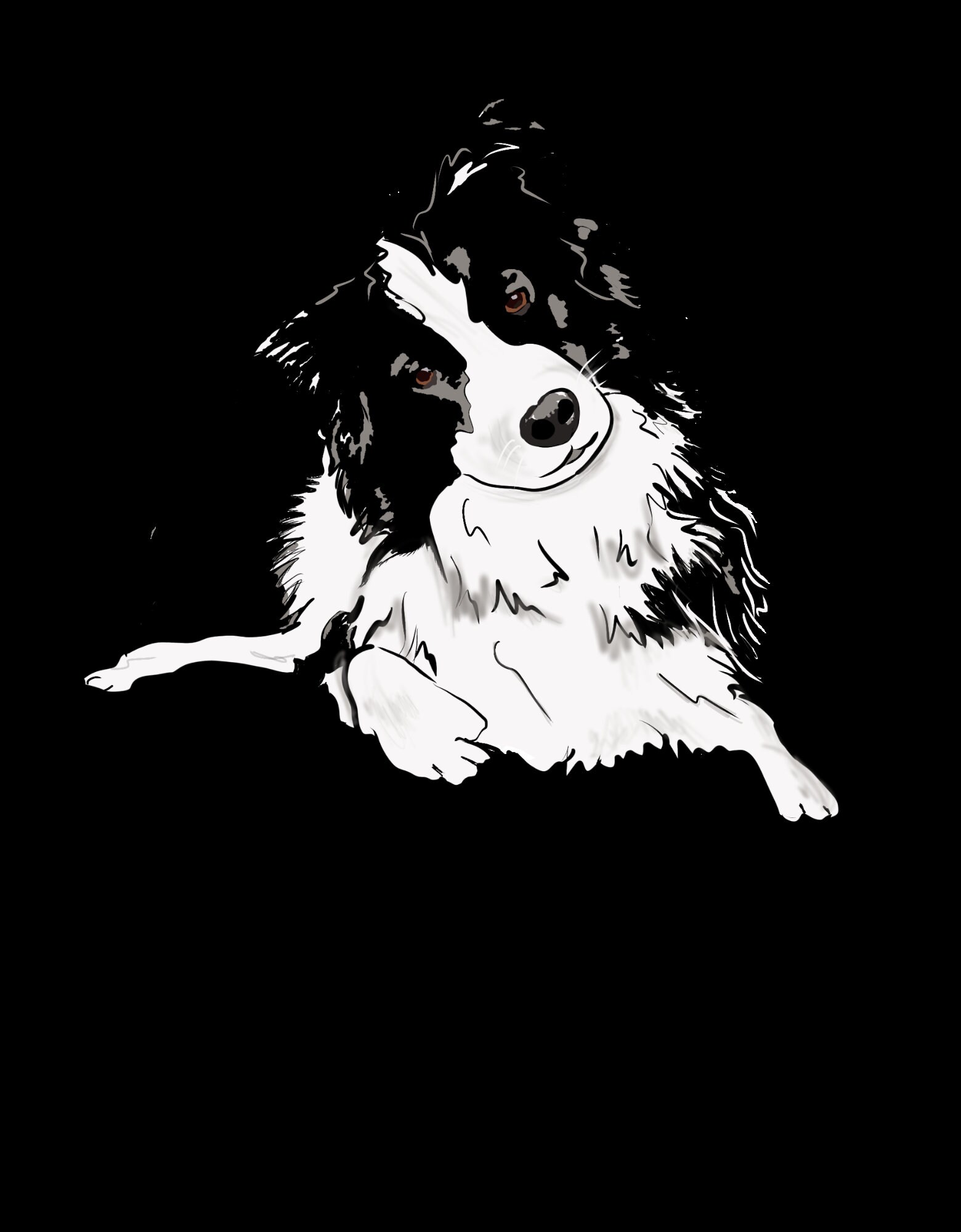 Digital Print of a Beautiful Border Collie coloring Sheet of a Border ...