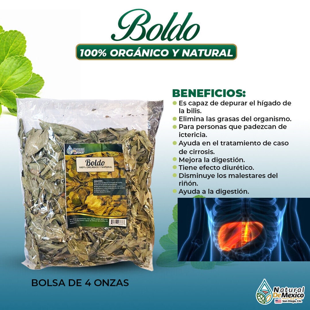 Boldo Herb Tea 4 Oz. 113g. Boldus Leaves Benefits Digestive - Etsy