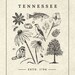 TN State Symbols Art Print 8"x10" - Etsy