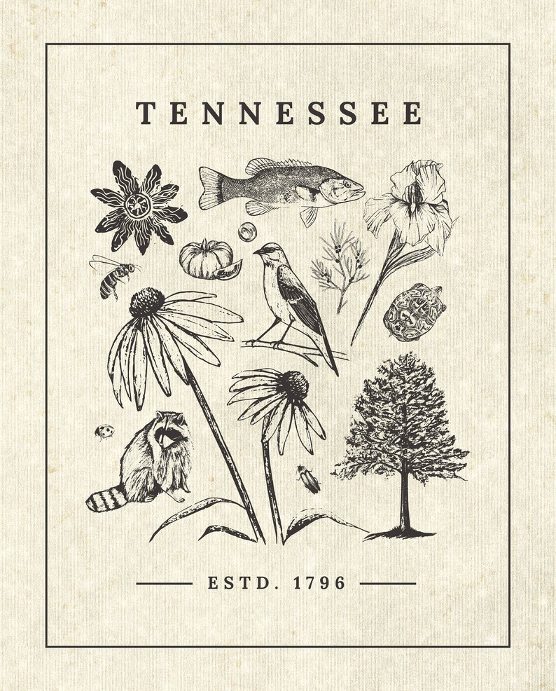 TN State Symbols Art Print 8"x10" - Etsy