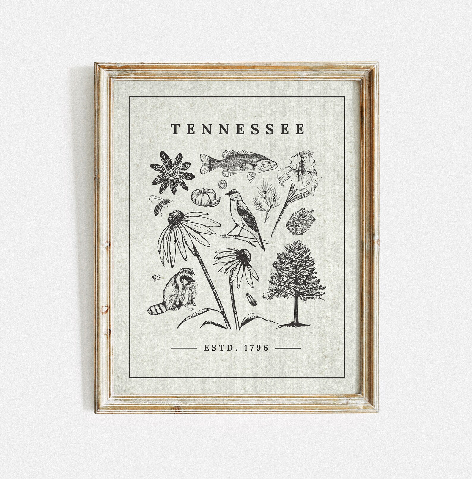 TN State Symbols Art Print 11"x14" - Etsy