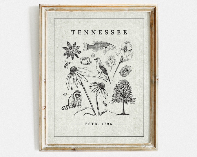 TN State Symbols Art Print 11"x14" - Etsy