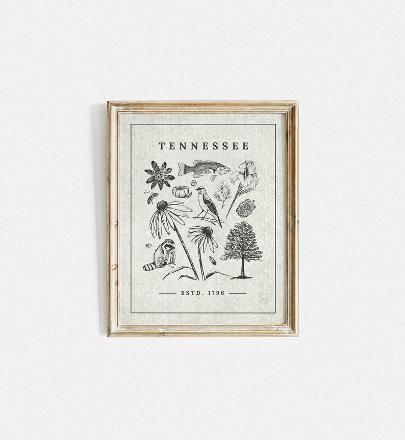 TN State Symbols Art Print 11"x14" - Etsy