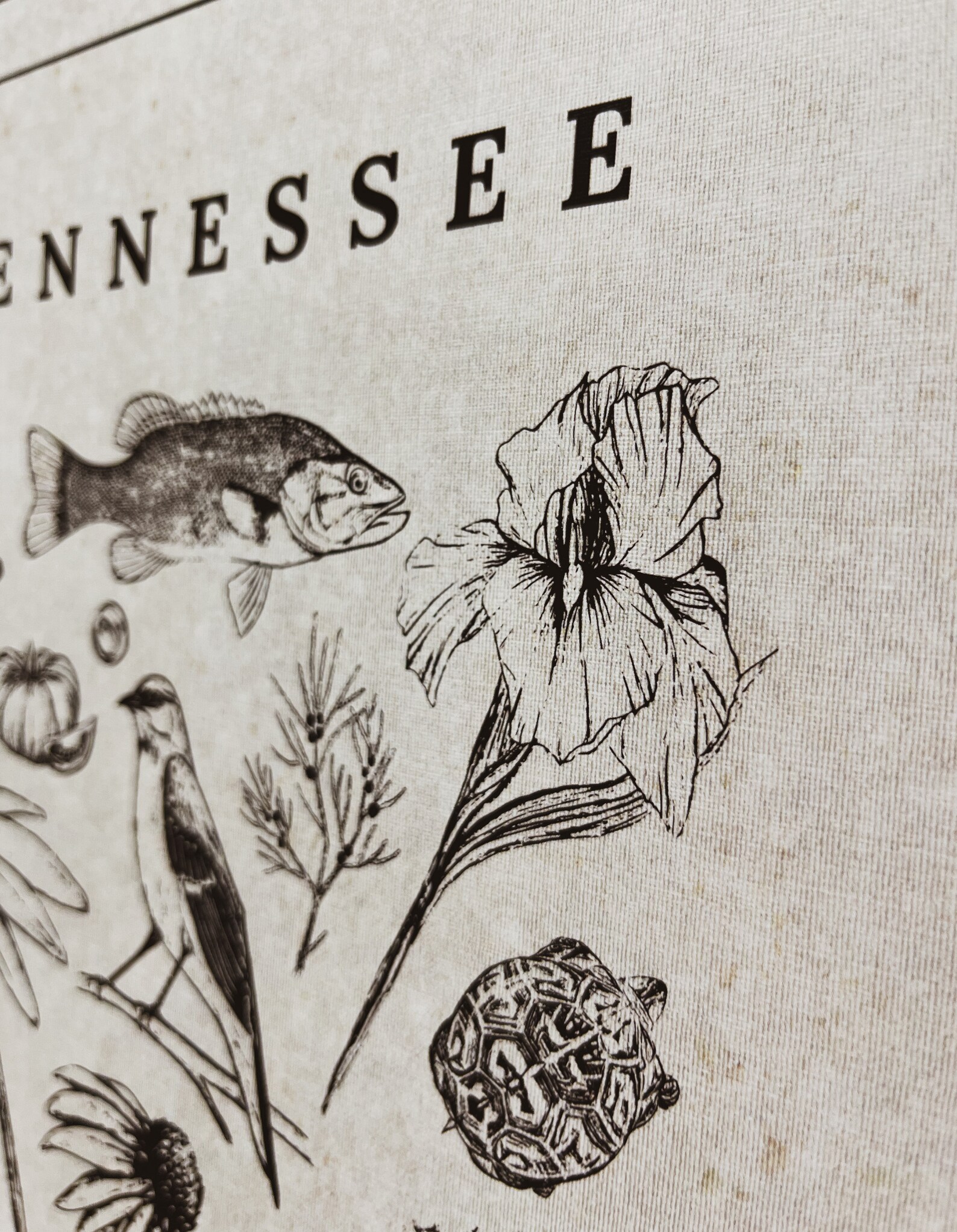 TN State Symbols Art Print 11x14 - Etsy