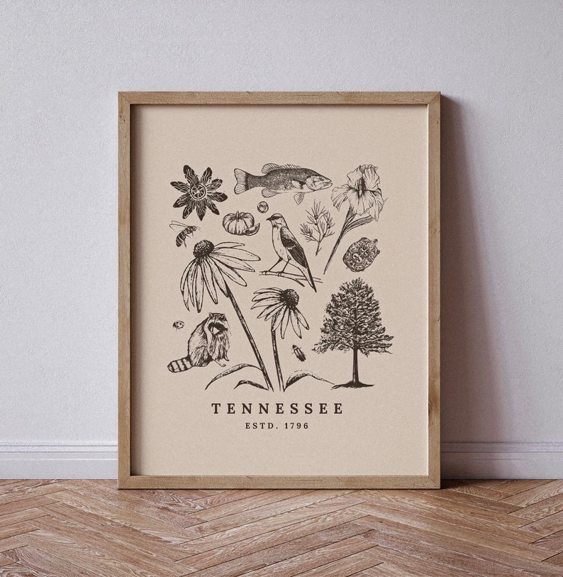 Tennessee (TN) State Symbols Drawings T-shirt, Vintage Style, Cream ...