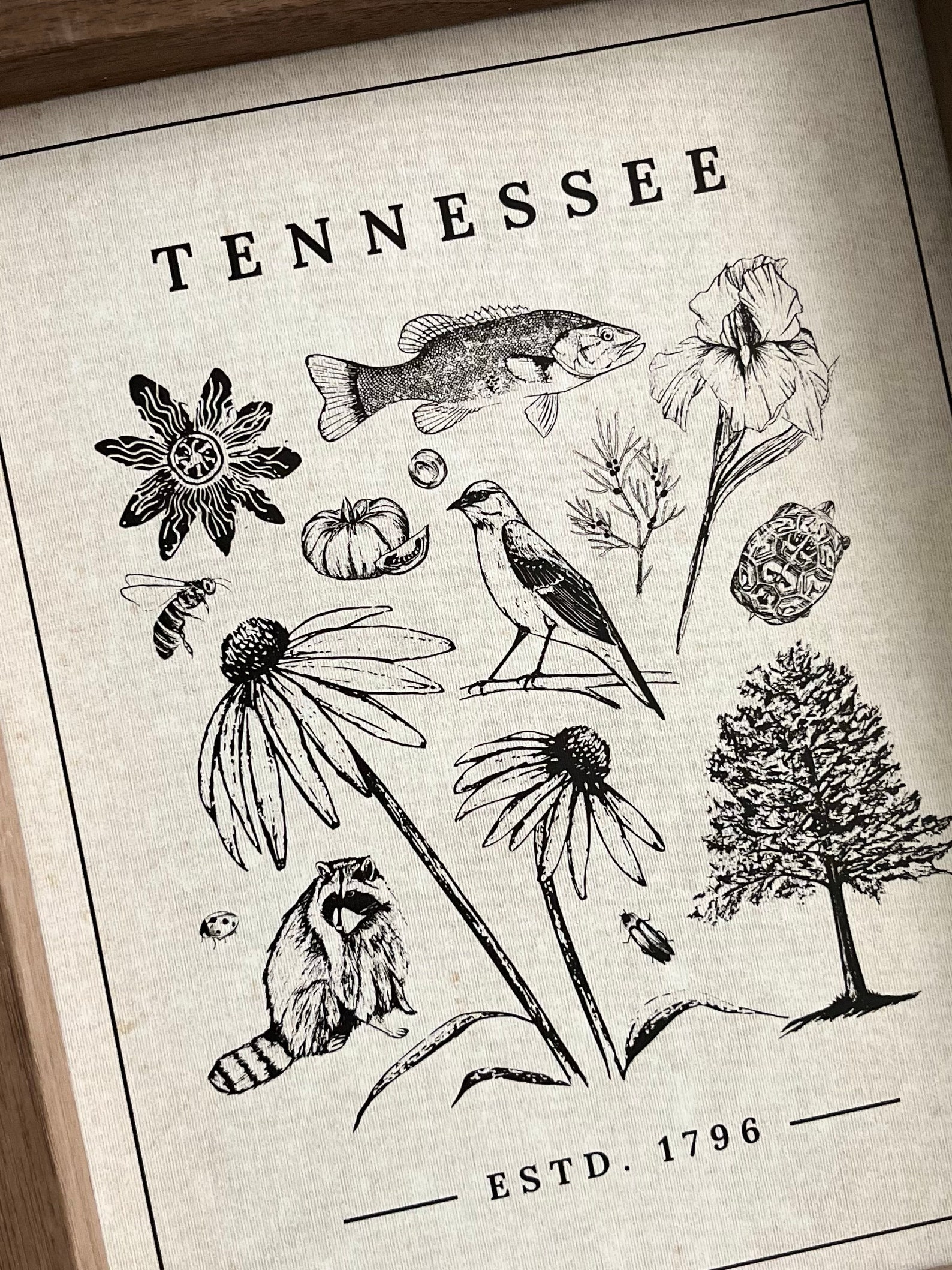 TN State Symbols Art Print 8"x10" - Etsy