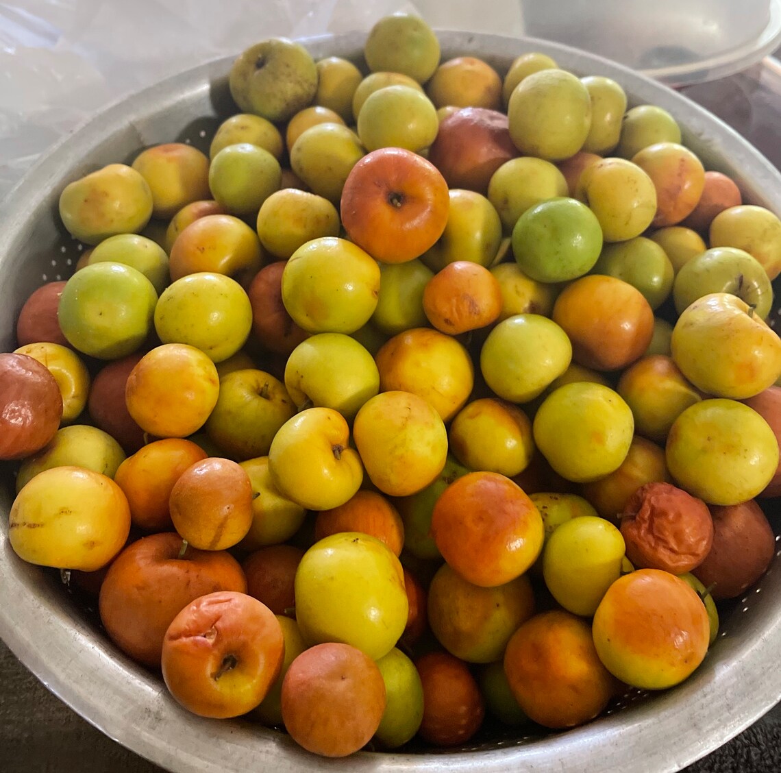 Jujube Leaves Fresh Green Organic Indian Sour Jujube Leaves Fresh 1 Oz ...