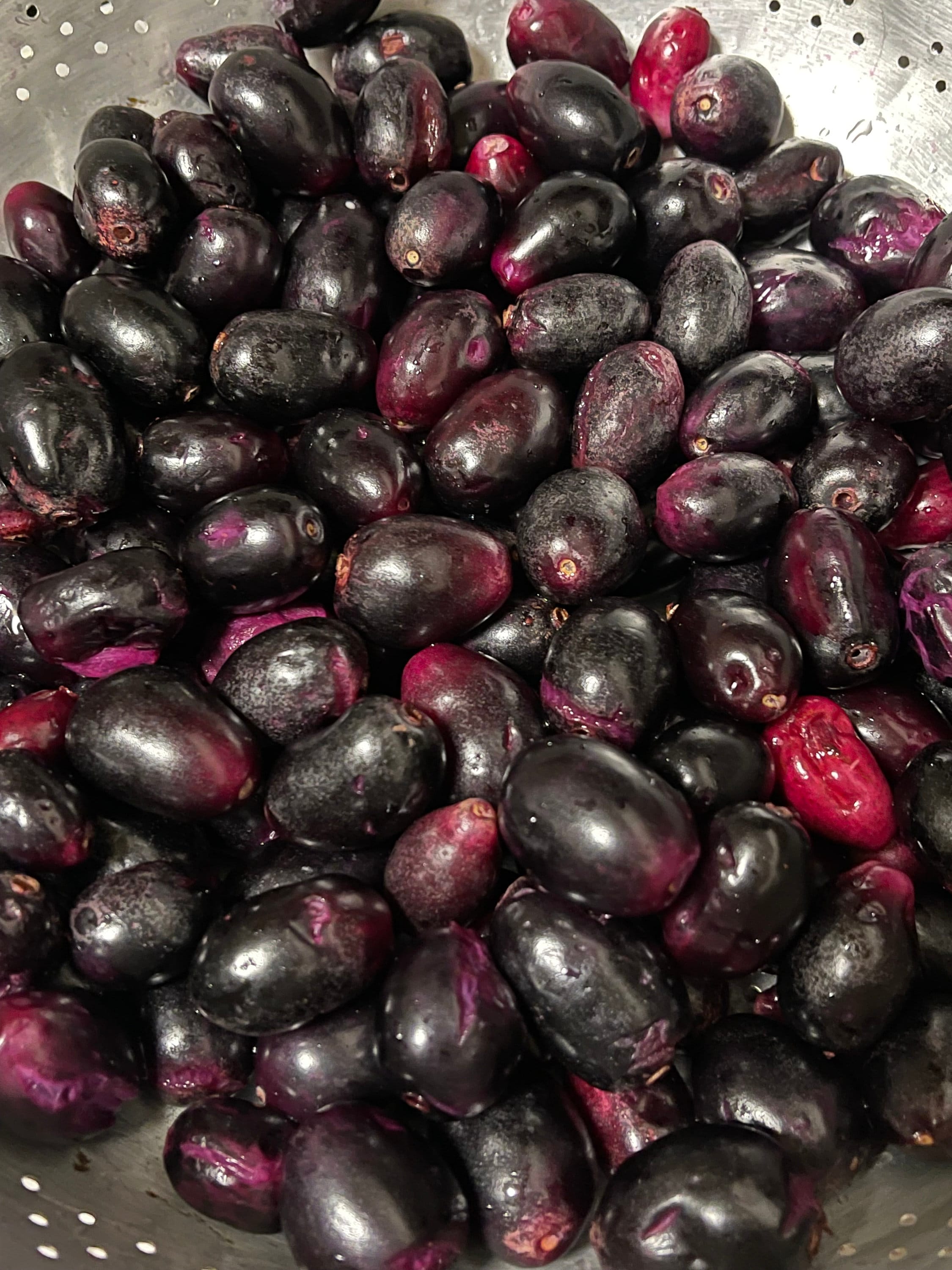 Jamun Fruit In English