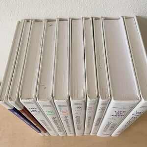 Life of Fred Math Textbooks - Etsy