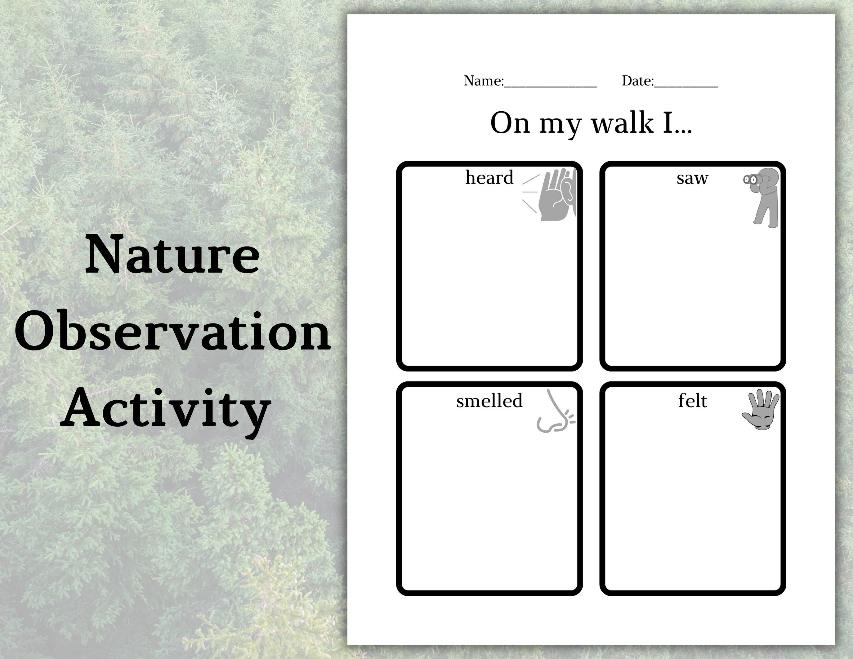 Nature Observation Activity Printable Teaching Resources, Preschool and ...