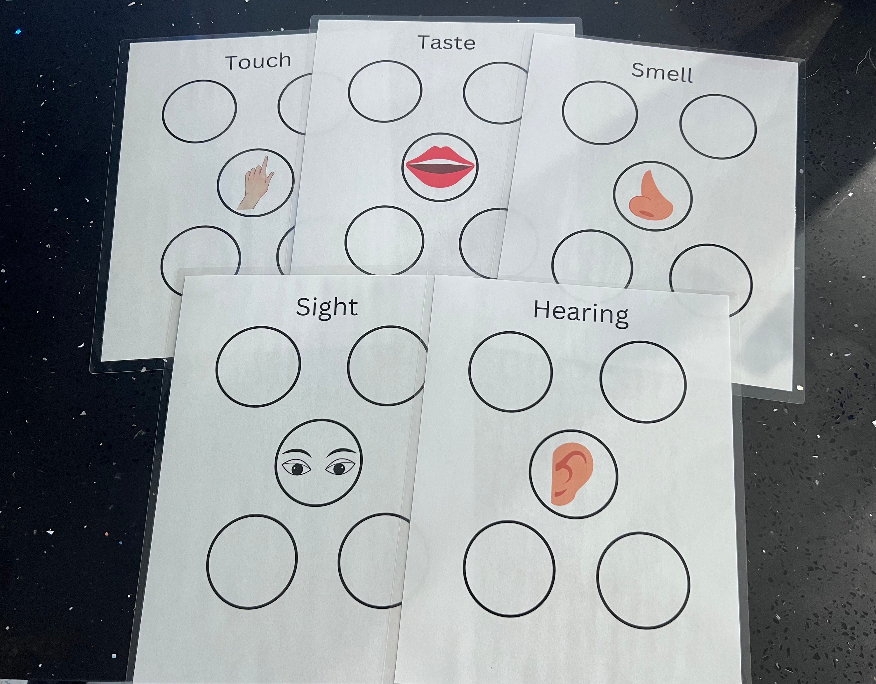 Five Senses Identification Activity, Montessori Activity, Montessori ...