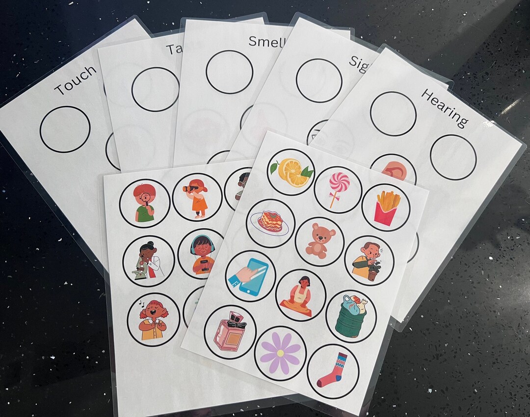 Five Senses Identification Activity, Montessori Activity, Montessori ...