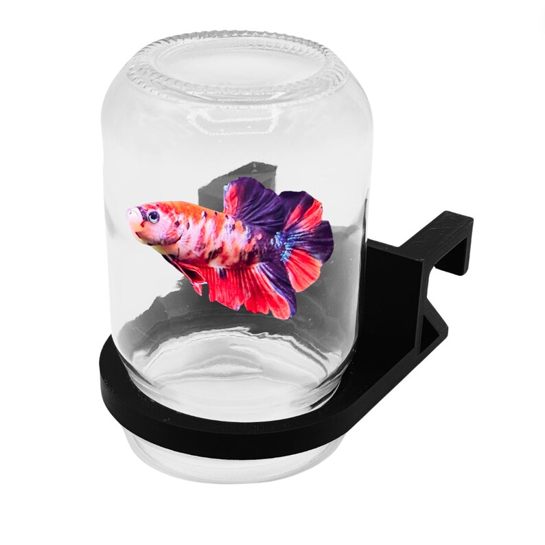 Inverted Glass Jar Panoramic View for Fish - 3 Sizes Compatible With ...