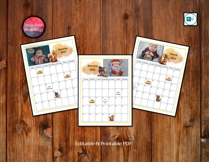 Baby's First Year Calendar - Etsy