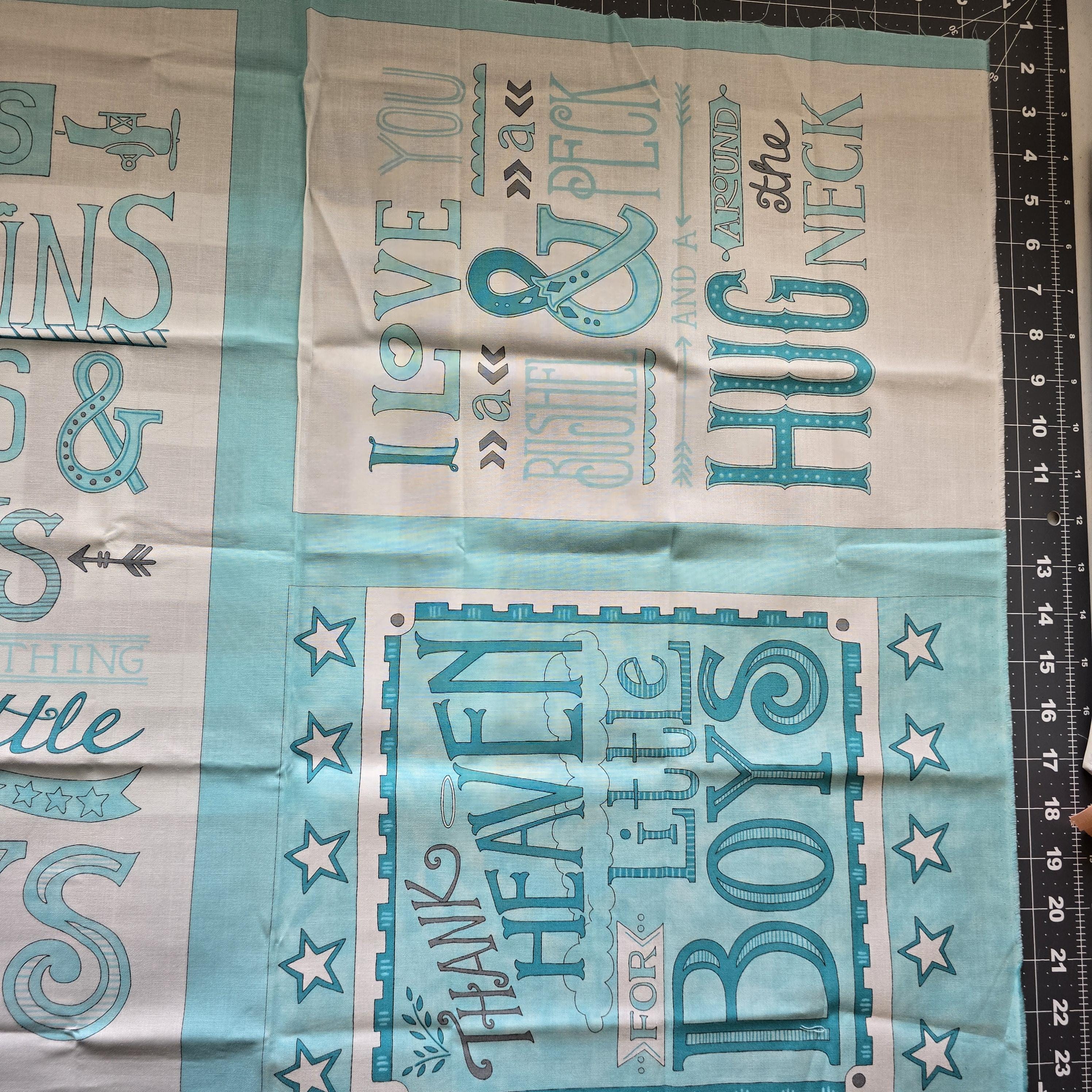 Hugaboo Boy Panel Moda Fabric Baby Boy Nursery Quilt - Etsy