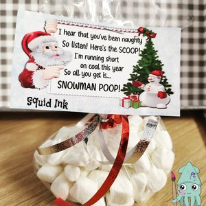 Funny Snowman Poop Poem to Attach to Your Fun Craft! - Etsy