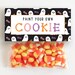 PYO Cookie Bag Toppers Halloween Instructions Printable, Paint Your Own ...