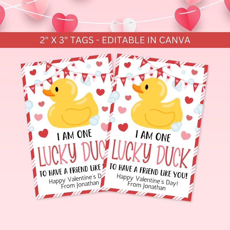 Duck Valentine - Etsy