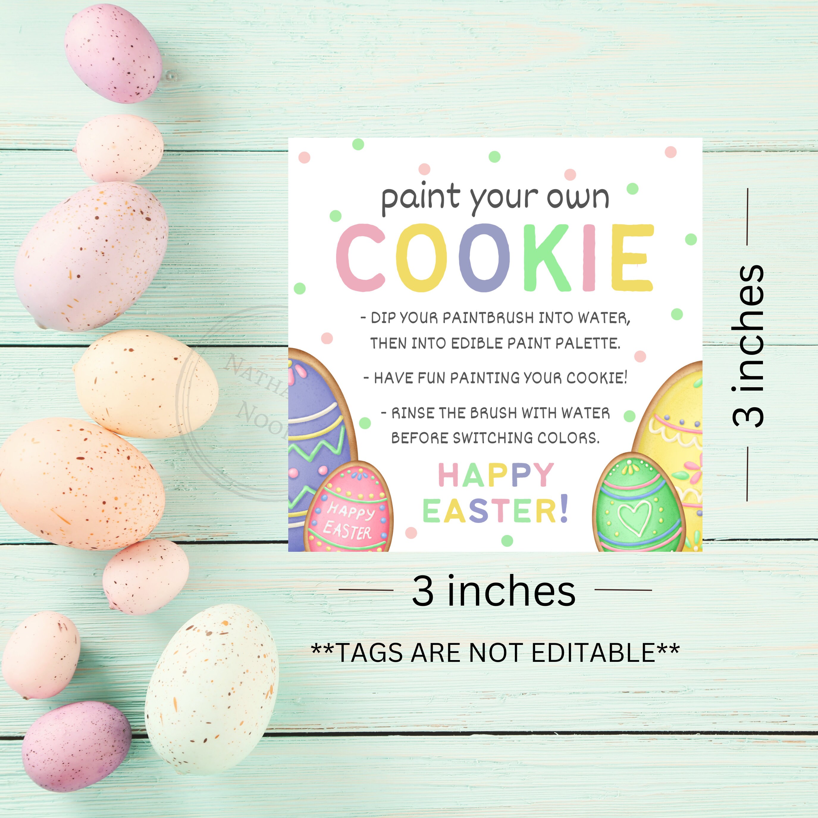 PYO Easter Cookie Tag Printable Instruction Gift Label, Paint Your Own ...