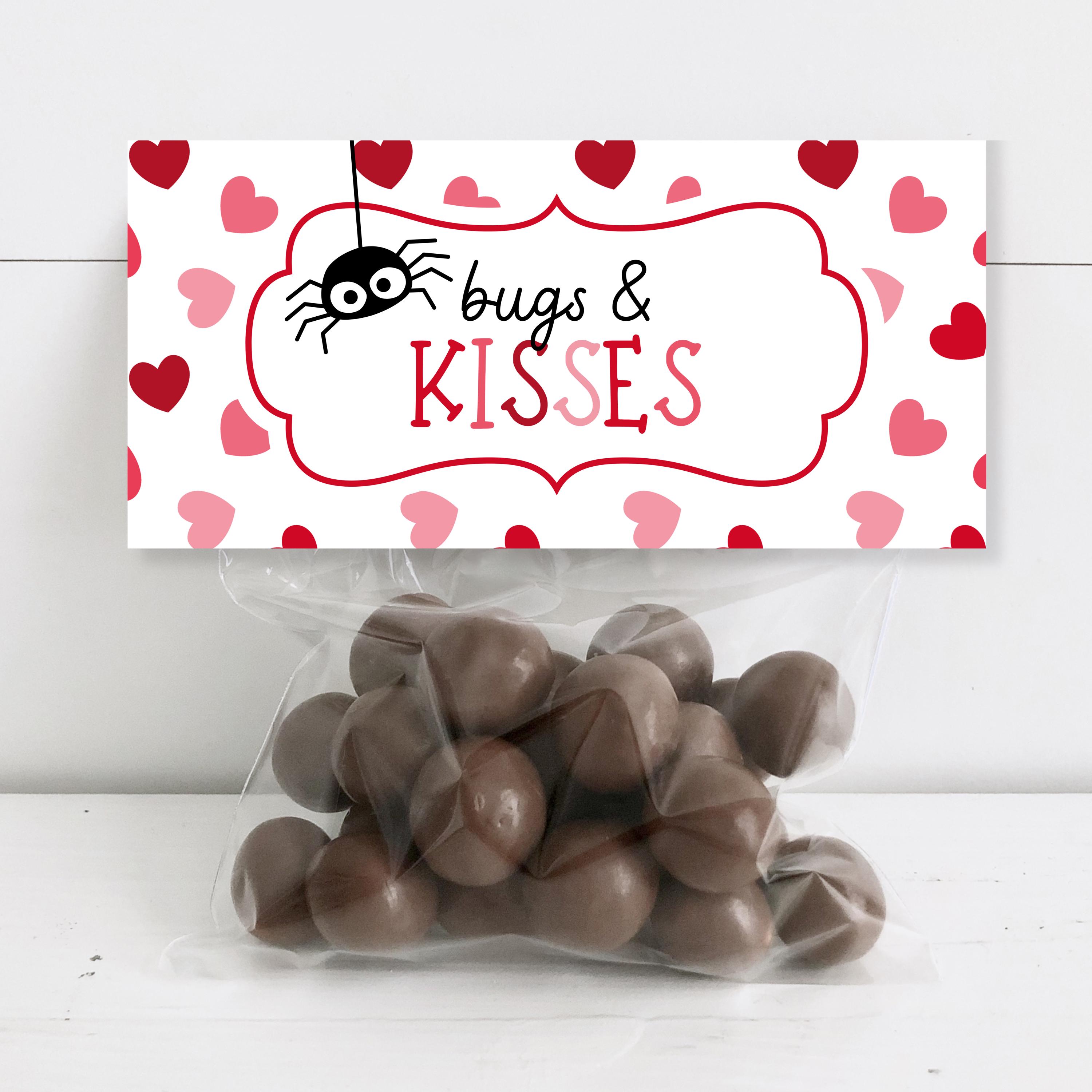 Bugs and Kisses Valentine Bag Topper Printable, Valentine's Day Bugs ...