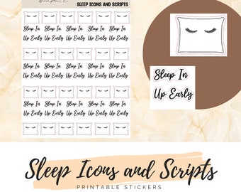 PRINTABLE Cleaning Icon and Script Stickers - Etsy