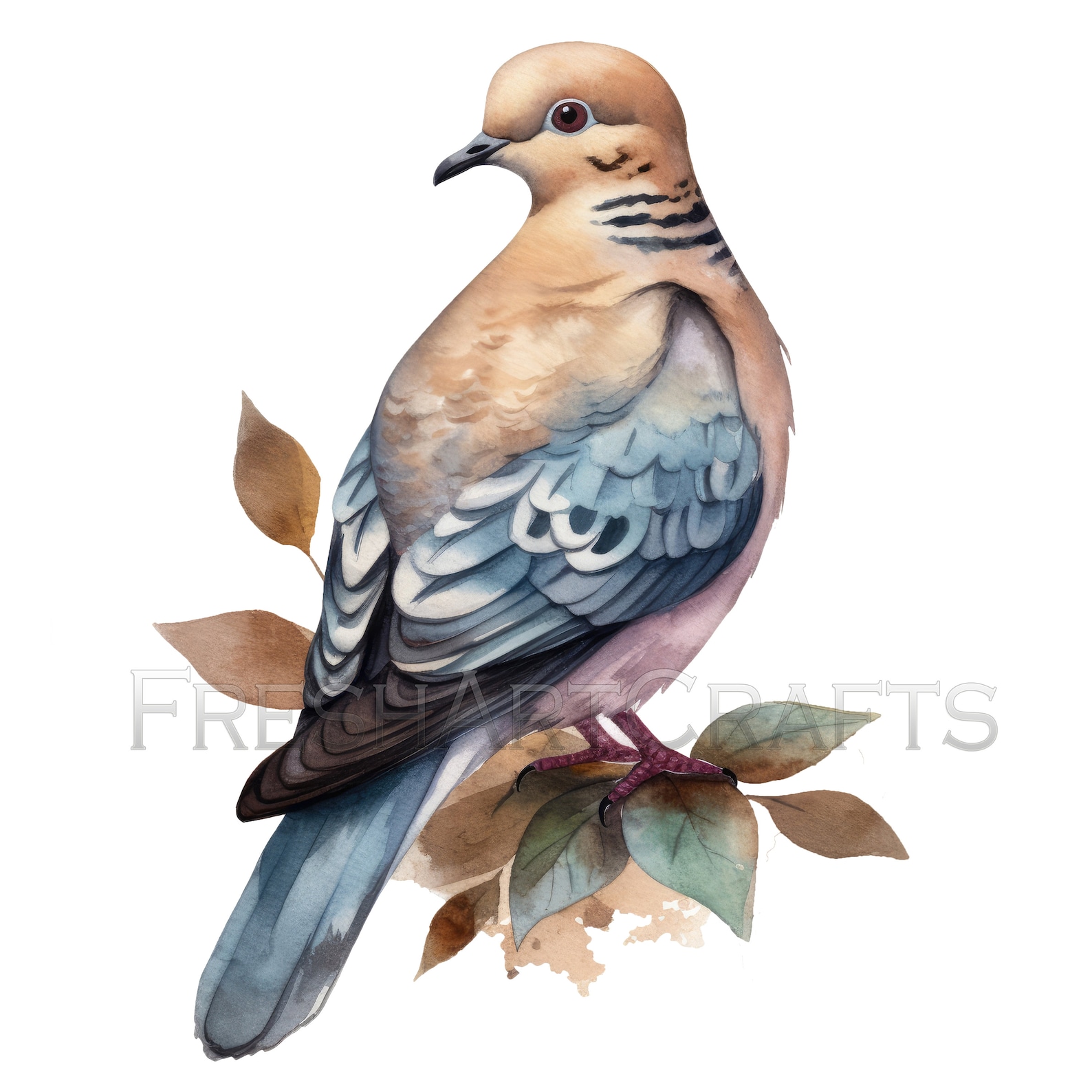 Mourning Dove Png, Mourning Dove Clip Art, Dove Watercolor Art, Clipart ...