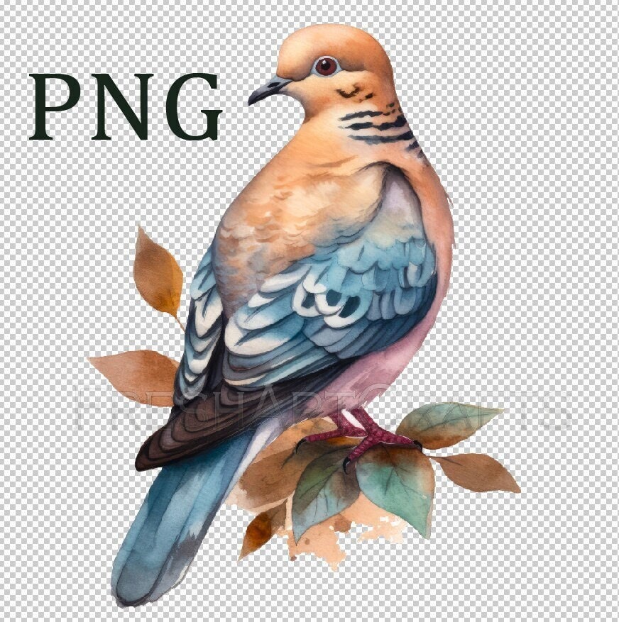 Mourning Dove Art Fluffy Mourning Dove Art Print By Al Mueller