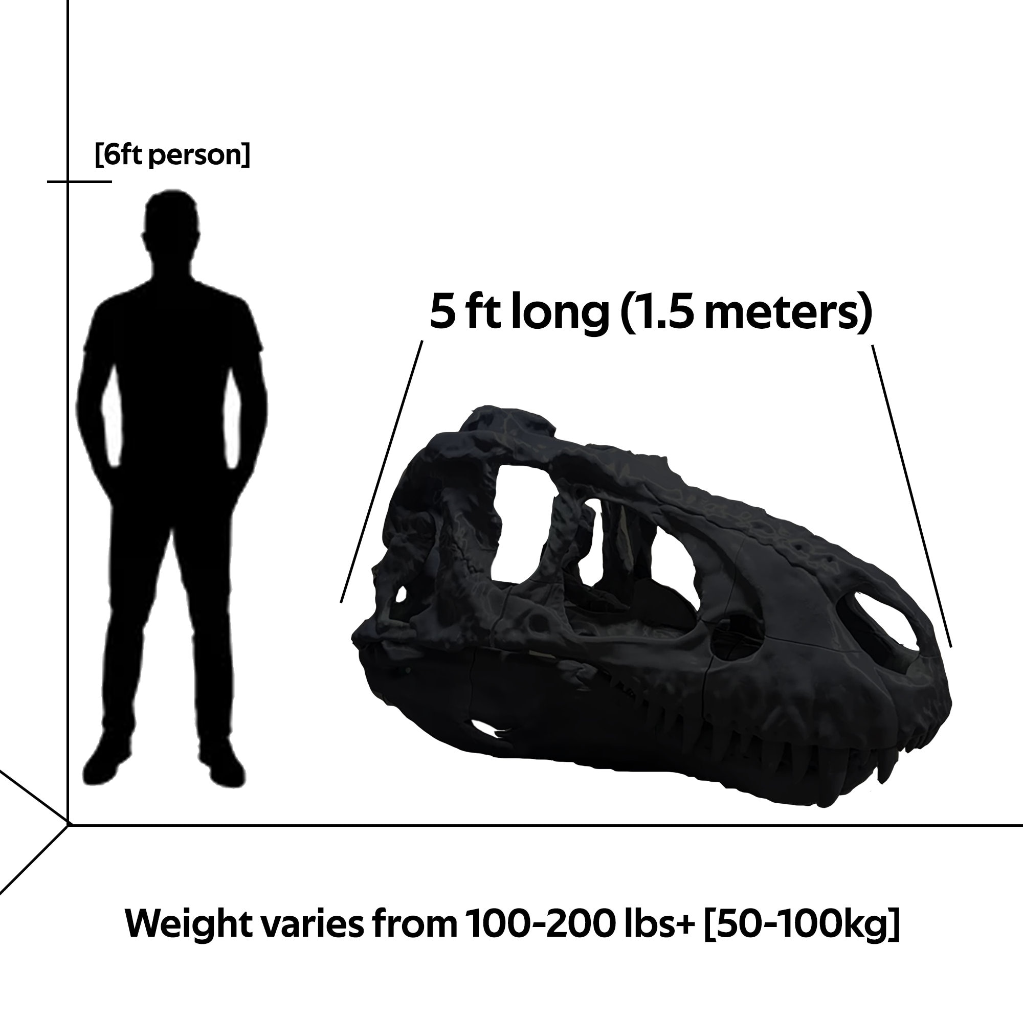Life Scale 3D Printed T-rex Skull, Over 5ft Long, Extremely Unique ...