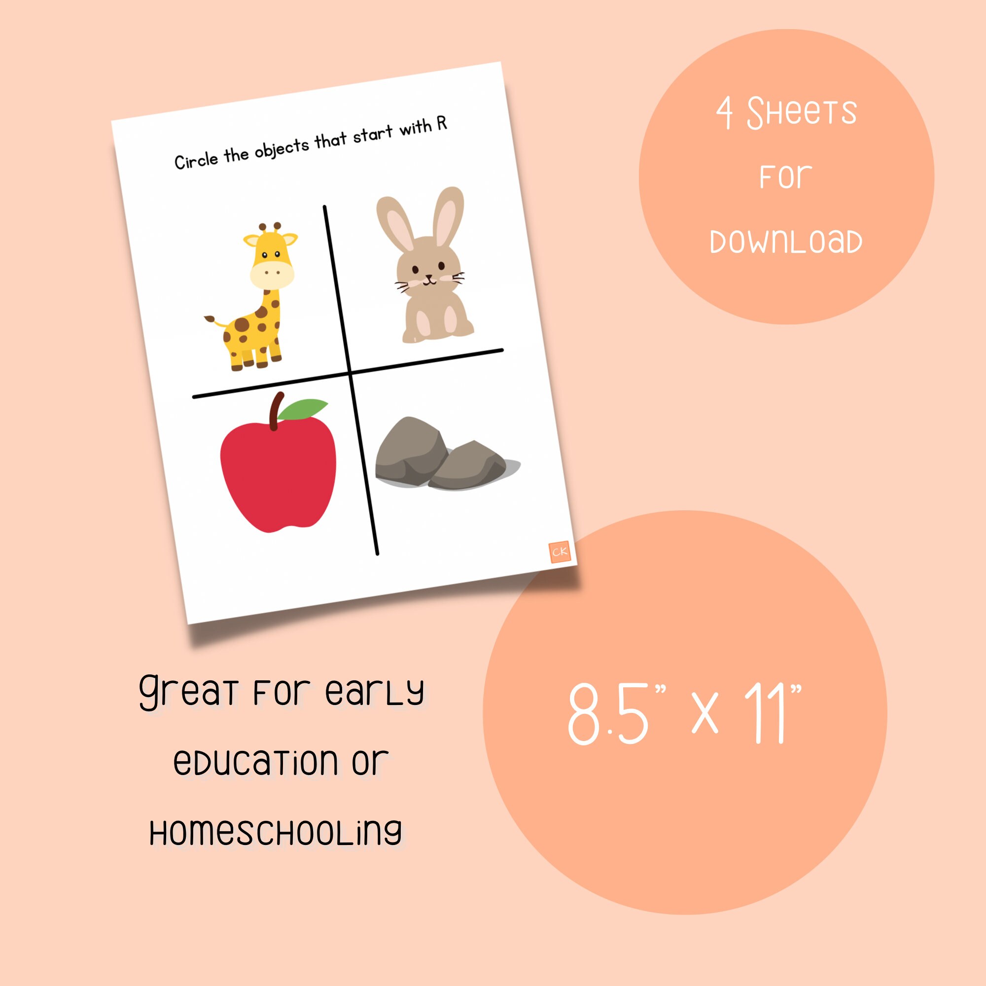 Letter R Activity Printable Preschool Printable Kindergarten Printable ...