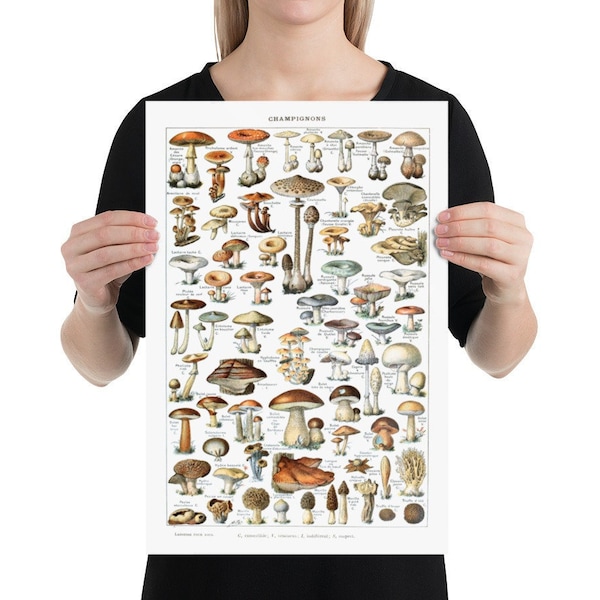 Nature Poster - Etsy