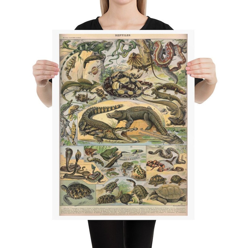 Biology Wall Art - Etsy