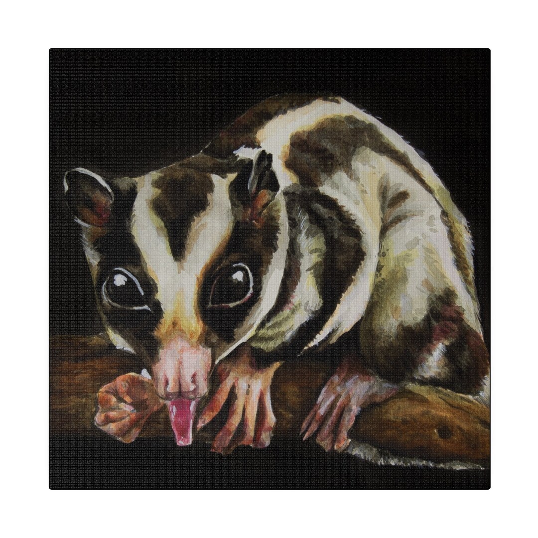 Common Striped Possum Watercolor Painting - Etsy