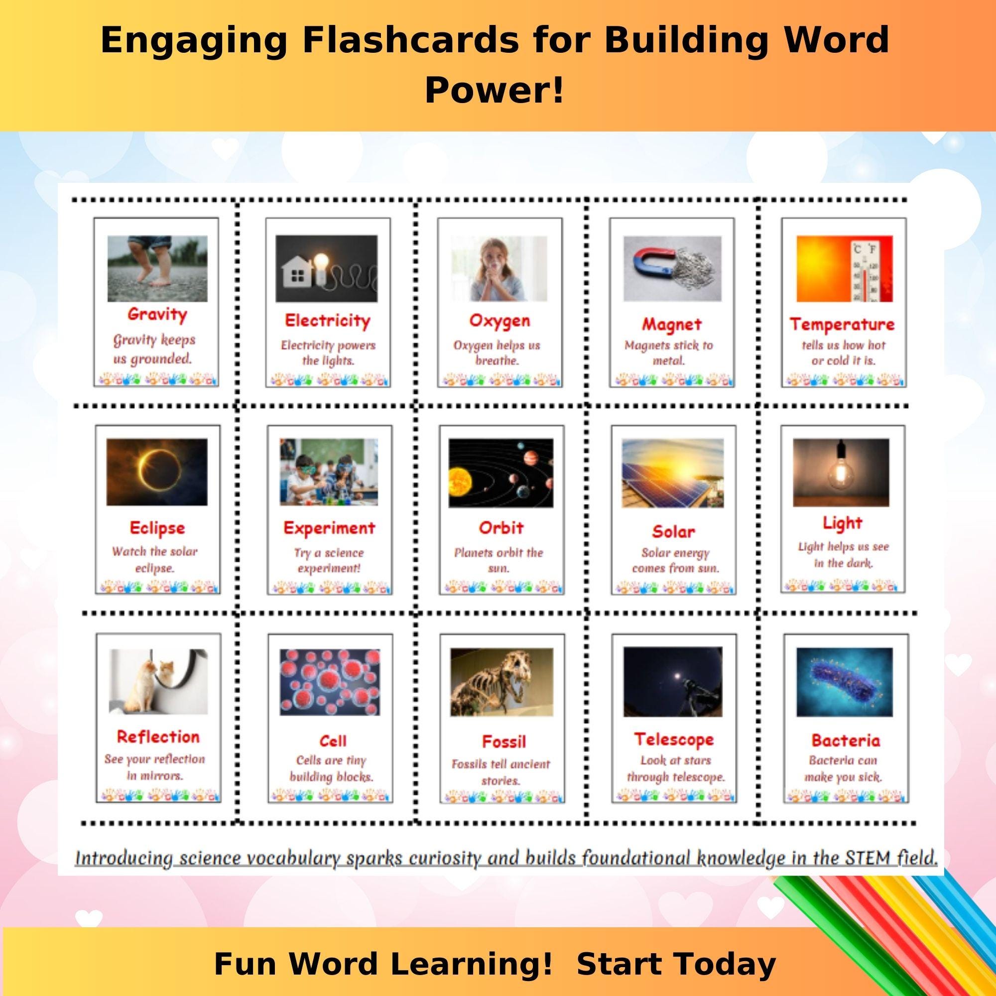 Kindergarten and Grade 1 Vocabulary Flashcards | 150 Fun Word Building ...