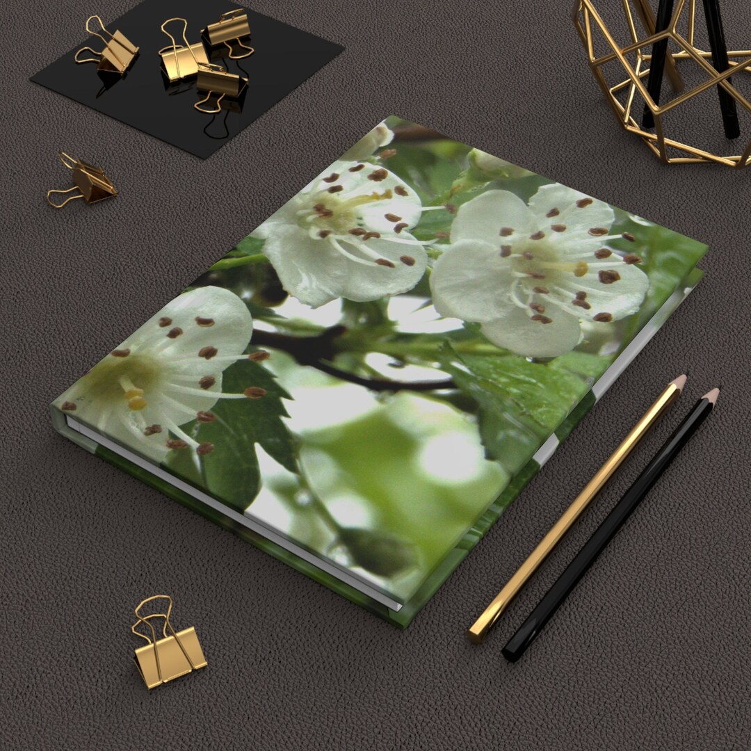 Nature Lover Journal, Notebook, Gratitude, Nature Photography, Outdoor ...