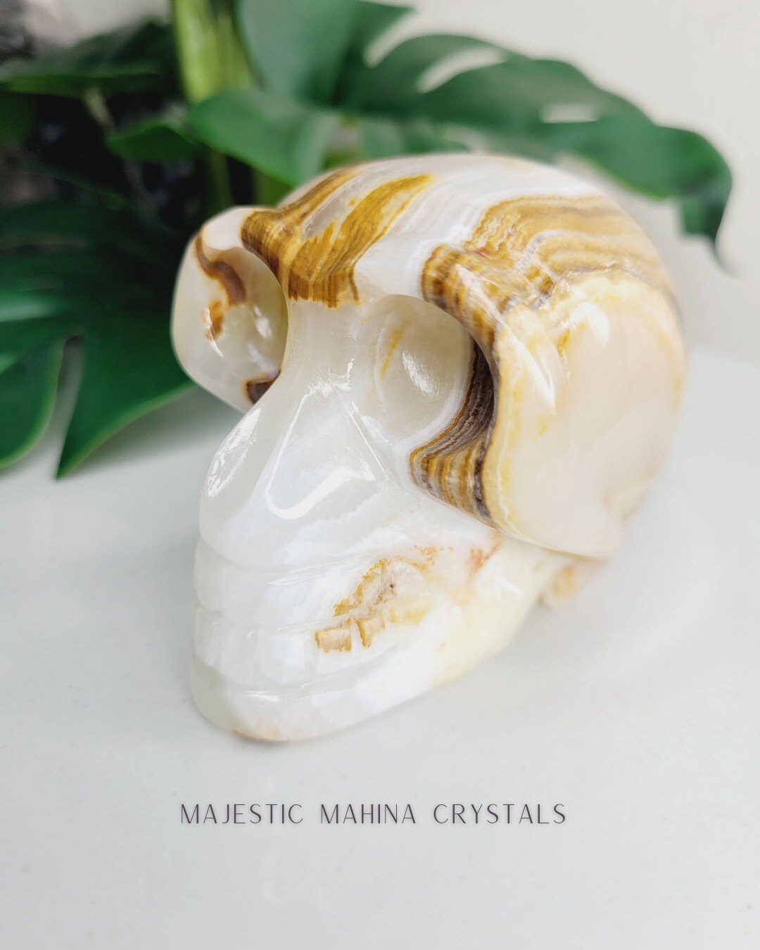 Afghanistan Jade Skull/ Afghanistan/ High Quality Skulls/ Skull/ Jade ...