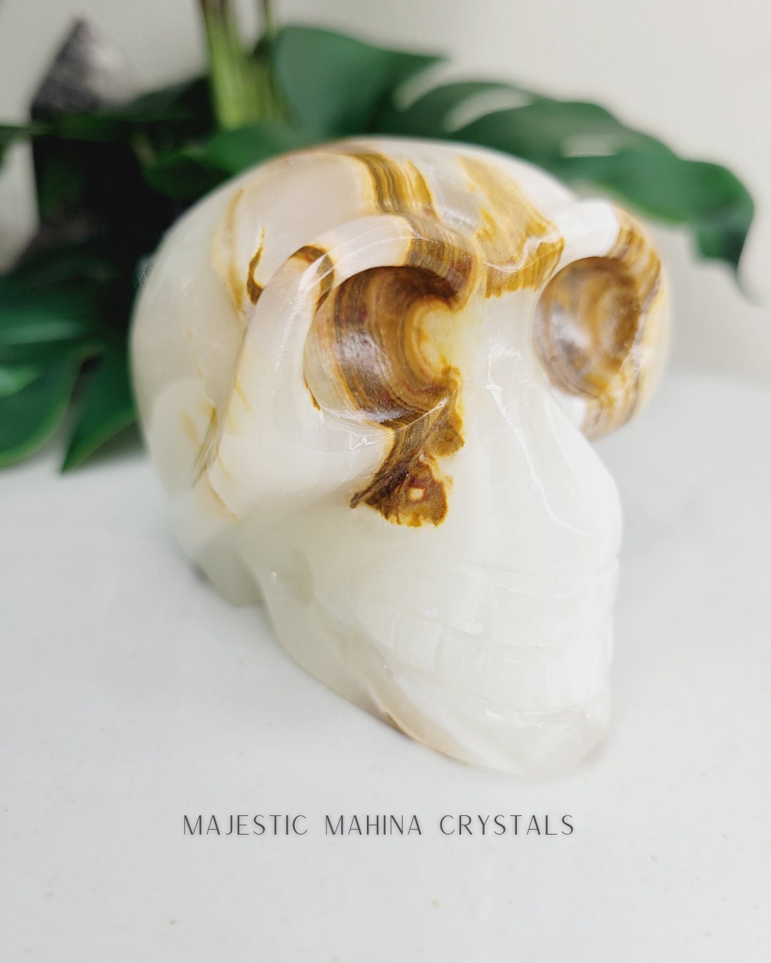 Afghanistan Jade Skull/ Afghanistan/ High Quality Skulls/ Skull/ Jade ...