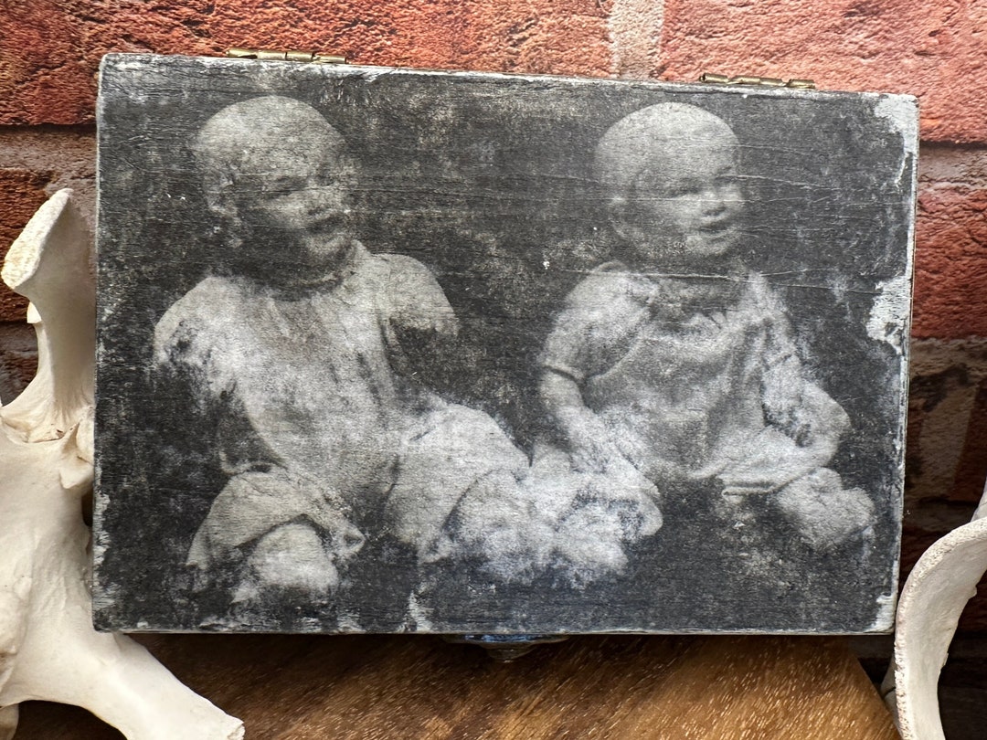 The Twins Creepy Doll Art Spooky Haunted Baby Trinket Box - Etsy