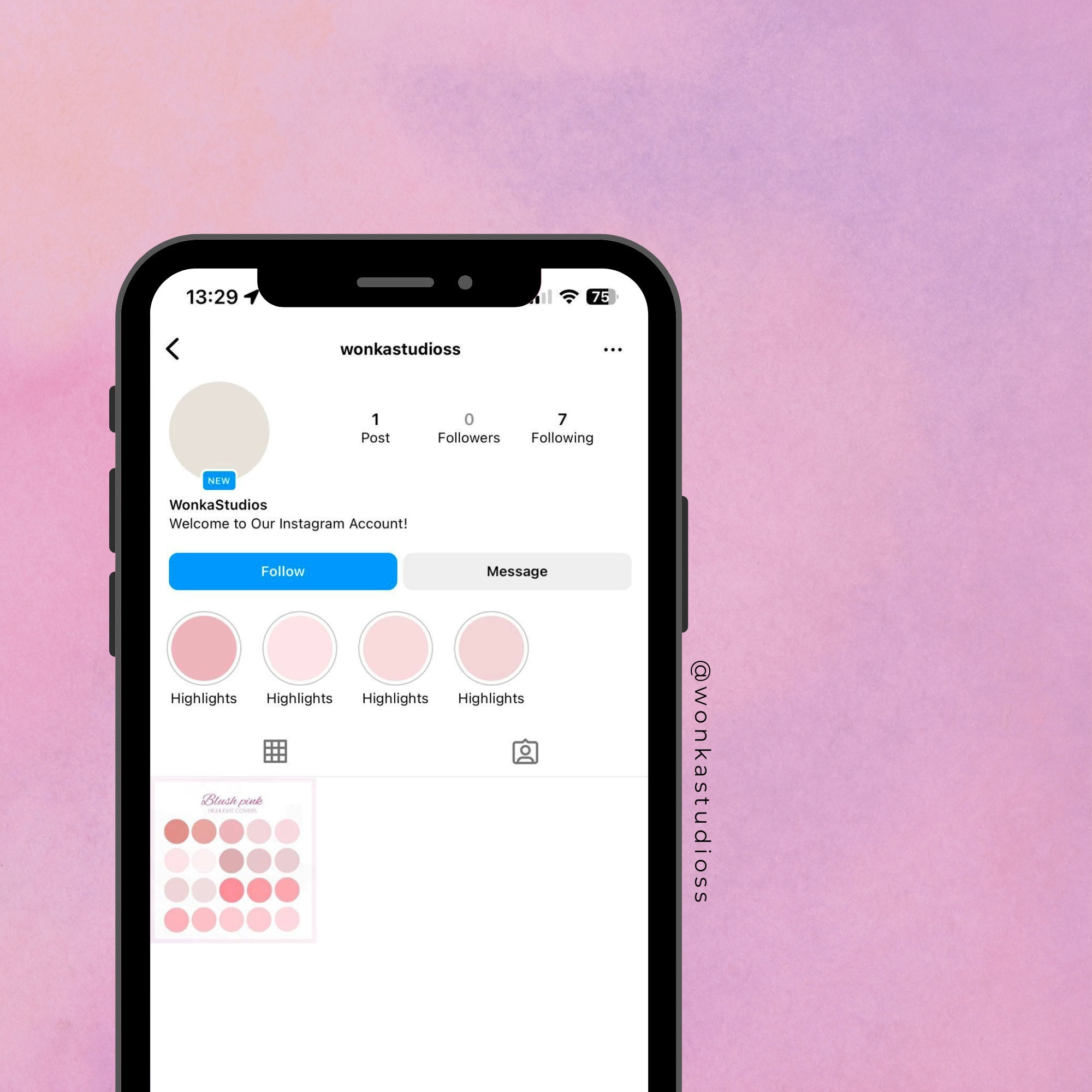 20 Blush Pink Instagram Highlights / Canva Highlight Templates ...