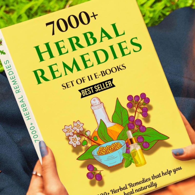 The Natural Healing Handbook by Greenhaven Press - Etsy Canada