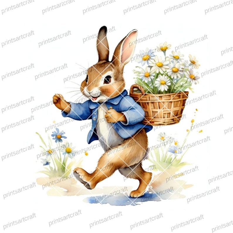 24 Daisies Peter Rabbit Clipart, Printable Watercolor Clipart, Digital ...