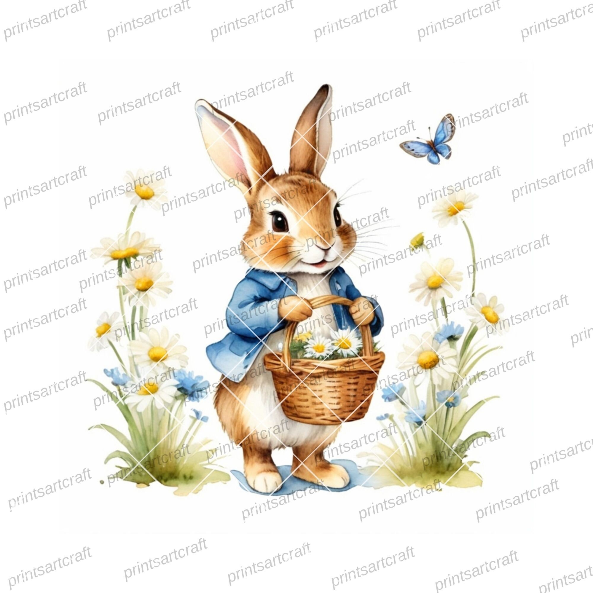 24 Daisies Peter Rabbit Clipart, Printable Watercolor Clipart, Digital ...