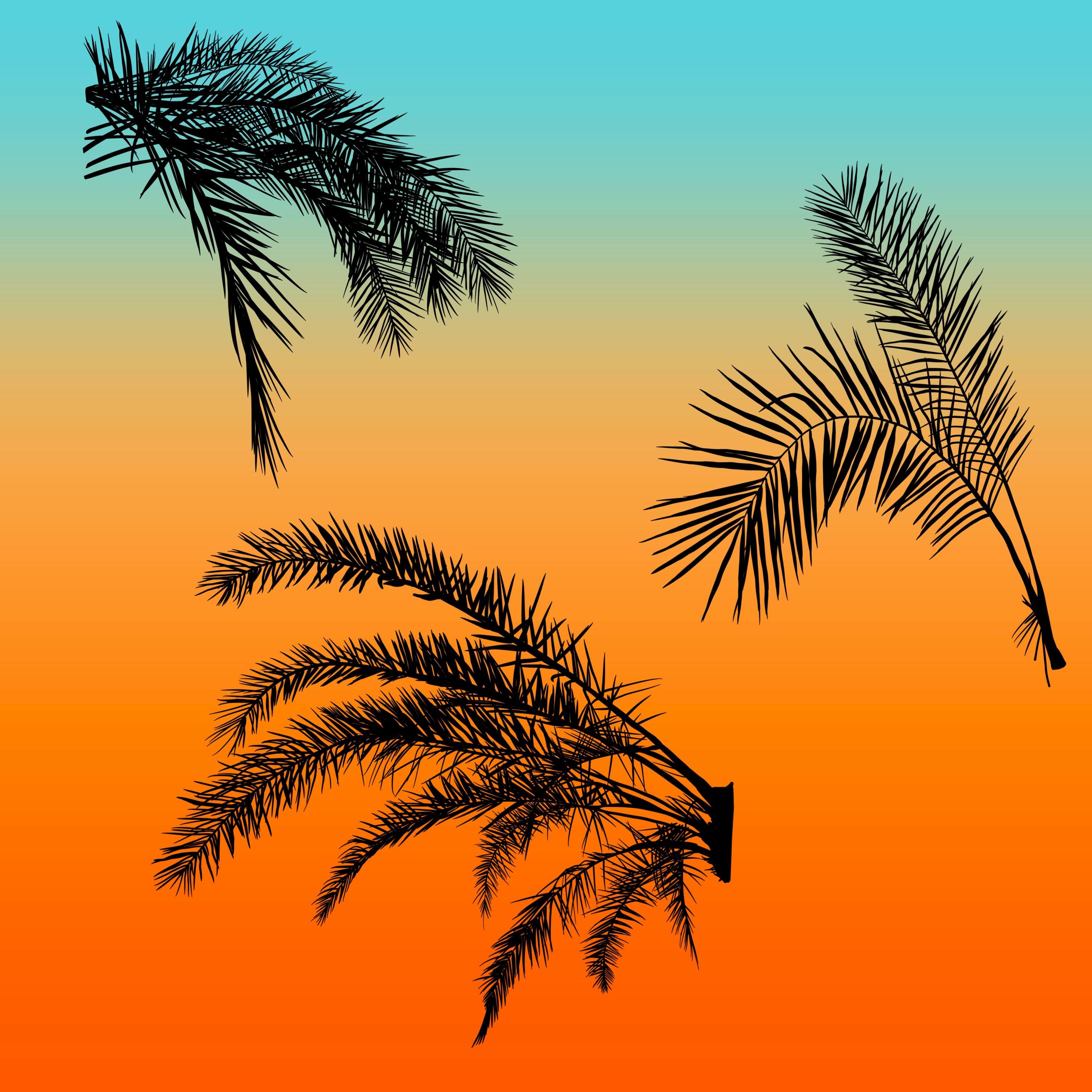 Palm Tree Stamp Brushes for Procreate, Procreate Stamp Brushes, Premium ...