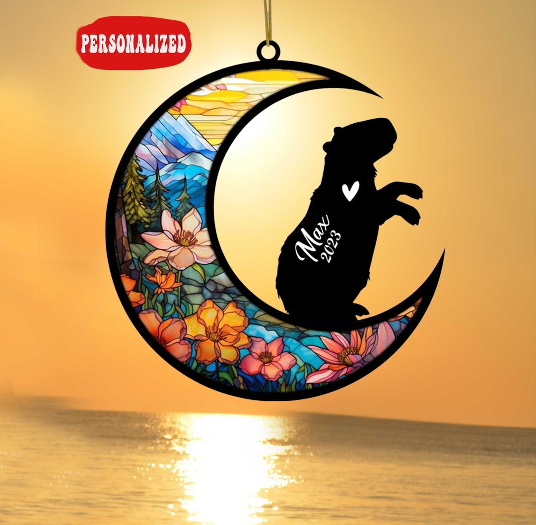 Custom Capybara Memorial Suncatcher Bereavement Capybara Loss - Etsy