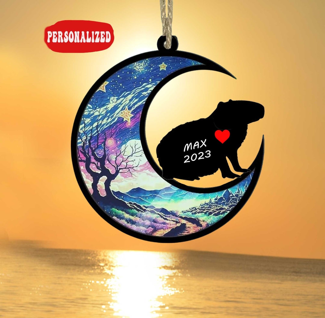 Custom Capybara Memorial Suncatcher, Bereavement Capybara Loss Gift ...